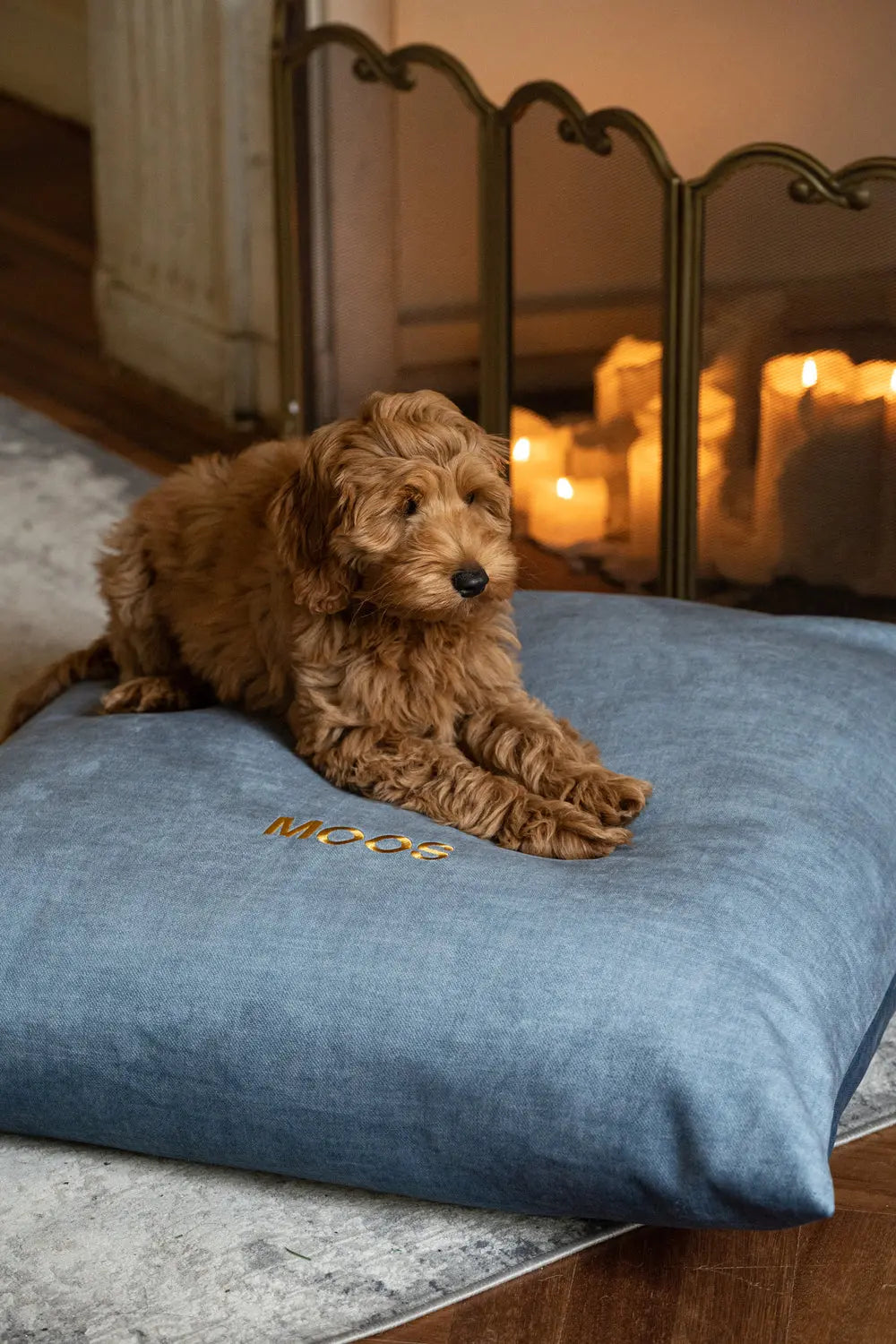 Consejos para elegir el mejor nombre para perros – Charlie & Jones
